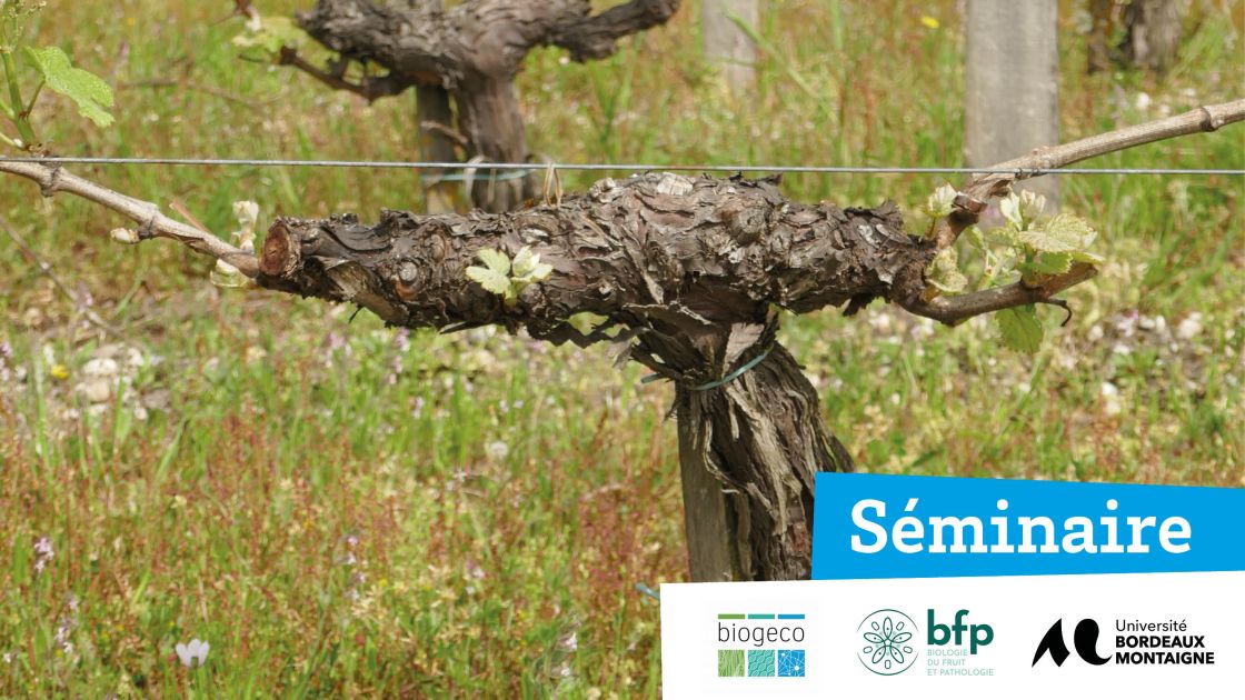 Séminaire - La greffe a-t-elle pris ? :: Département Sciences environnement
