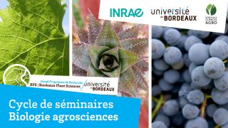 Séminaire - Production of clonal seeds in hybrid Rice through synthetic ...